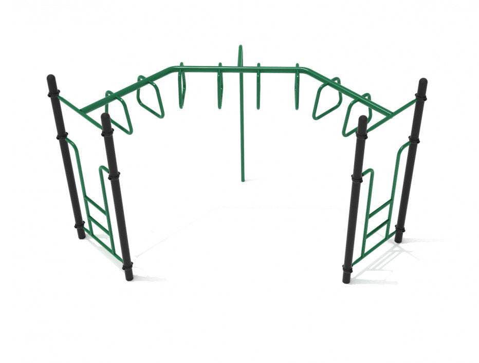 Adult Monkey Bars